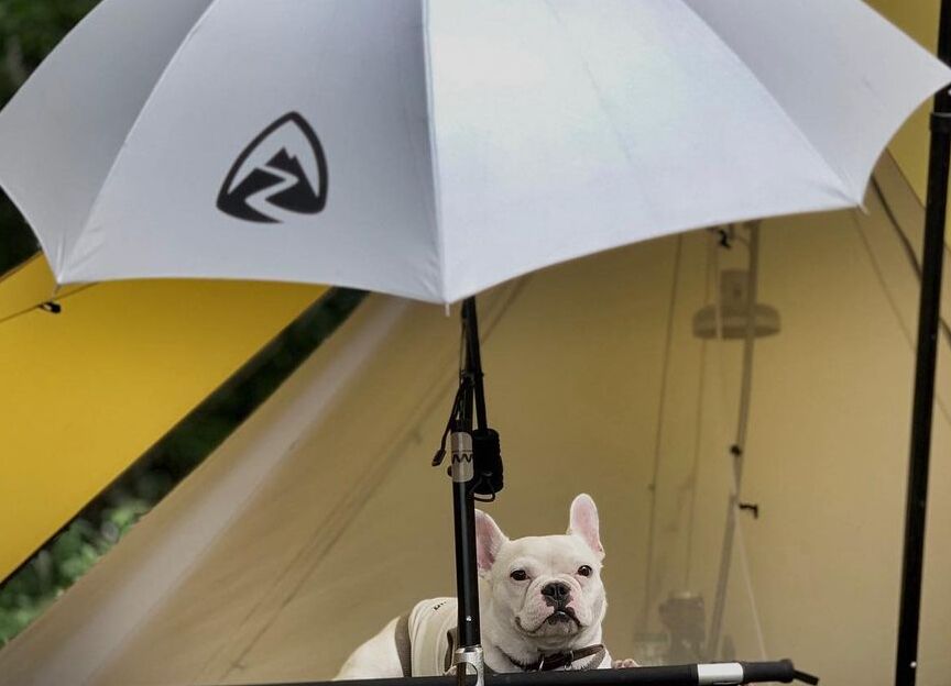 Zpacks Lotus UL Umbrella